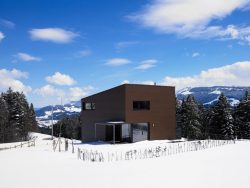 Einfamilienhaus Sulzberg 1 - Alpina Haus : Alpina Haus