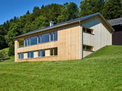 Einfamilienhaus Sulzberg 5 - Alpina Haus : Alpina Haus
